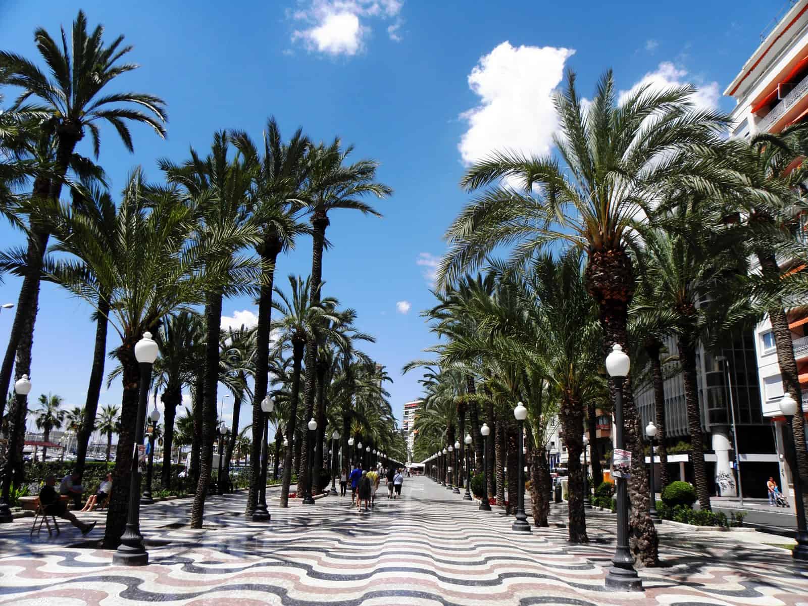 La Esplanad | Enamorados de Alicante