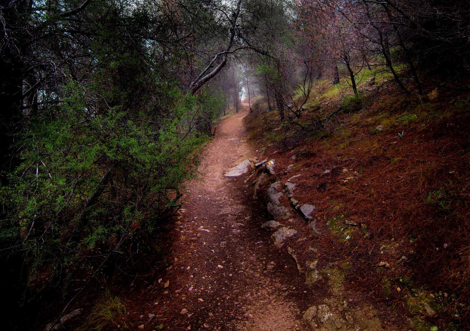 El sendero - Enamorados de Alicante