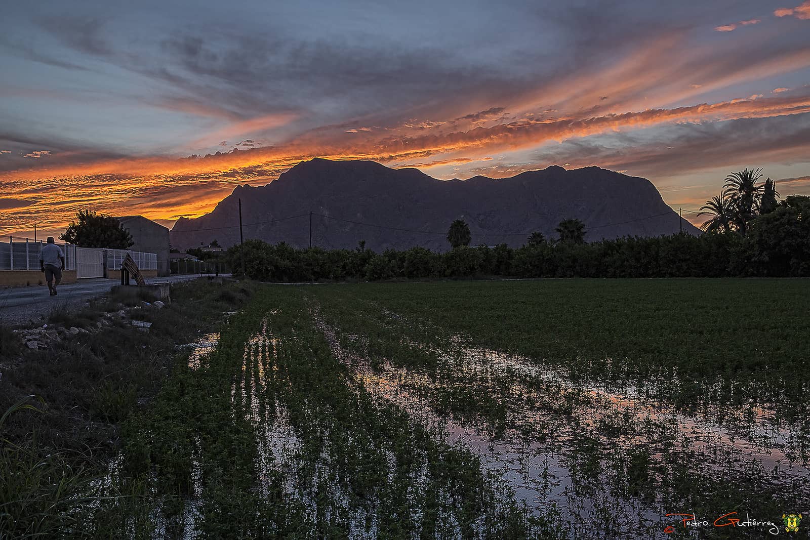 La tanda - Enamorados de Alicante