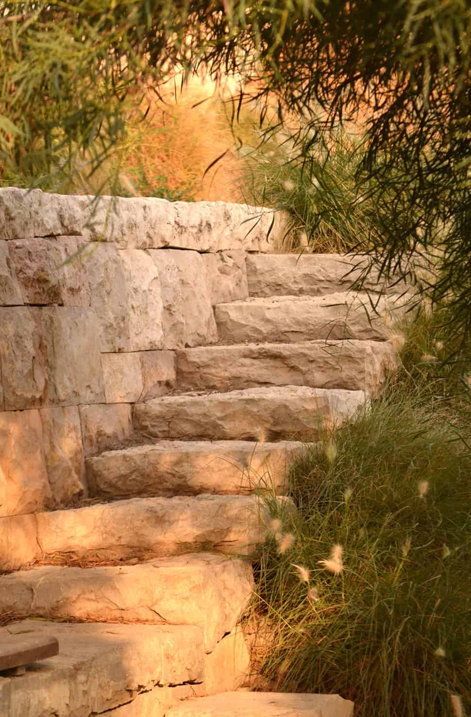 Magic path - Enamorados de Alicante