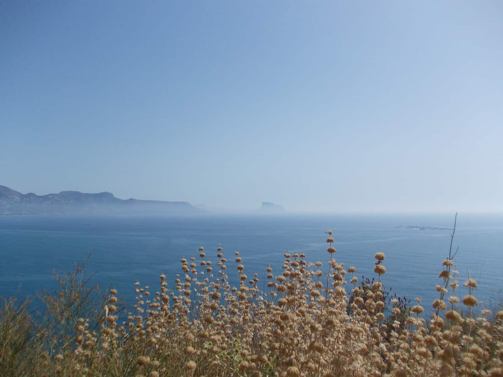 Bruma en el mar - Enamorados de Alicante