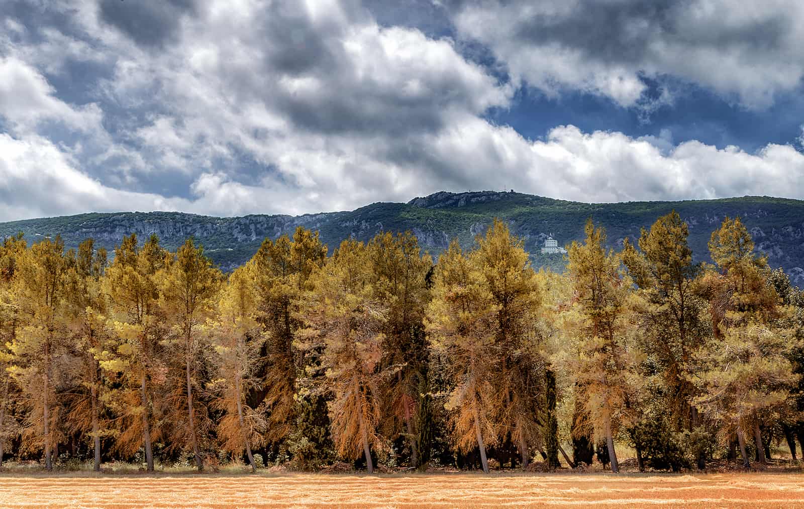 font roja | Enamorados de Alicante
