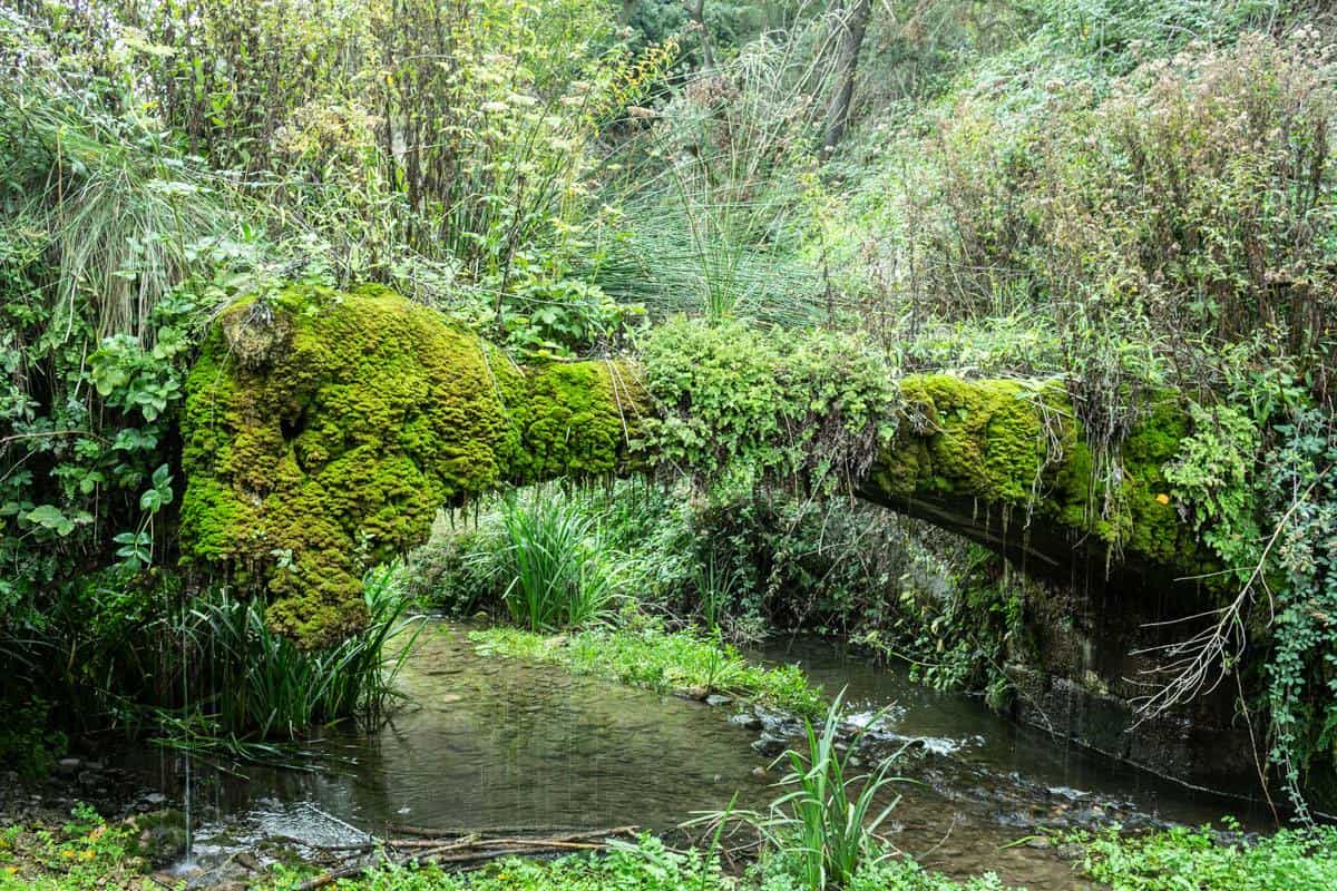 Vergel - Enamorados de Alicante