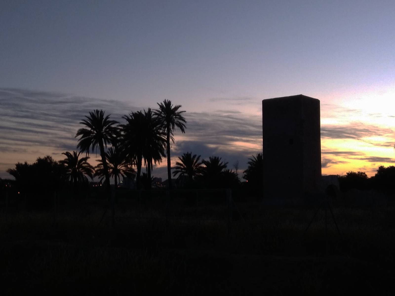 Vigilando - Enamorados de Alicante