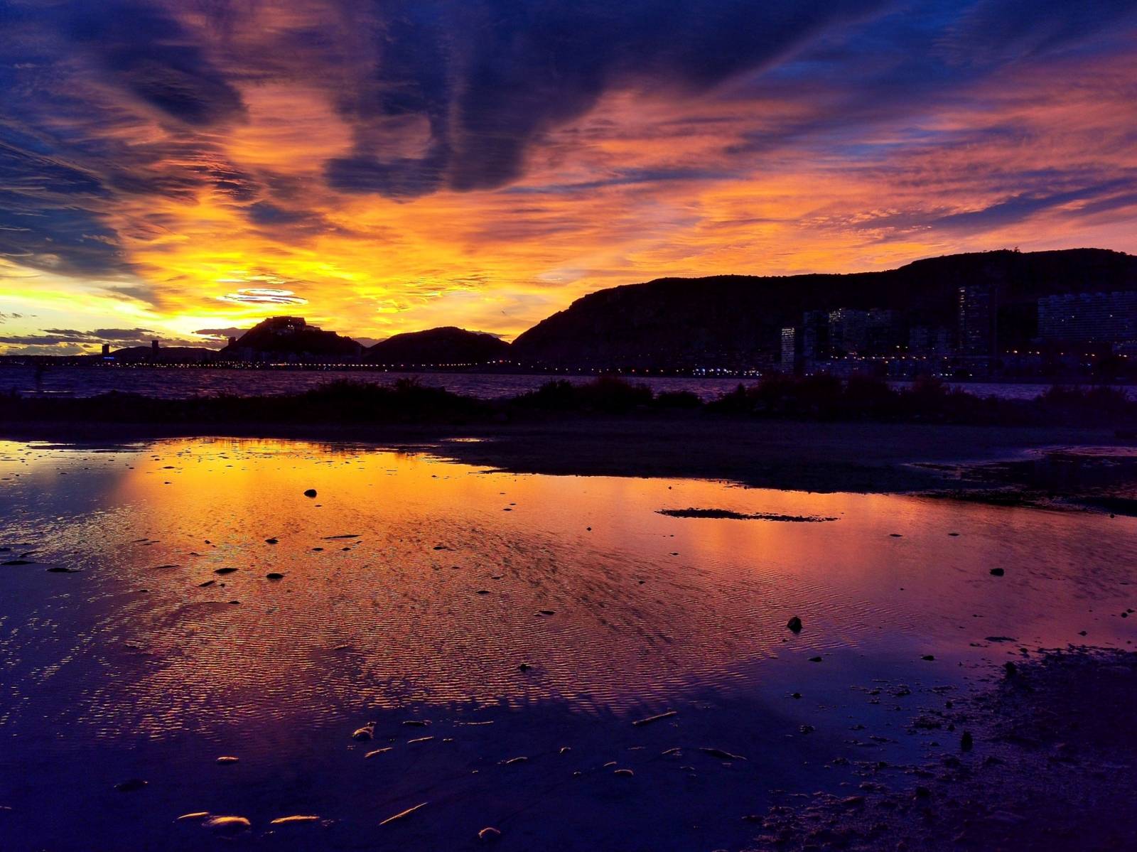 VIOLETA Y AMARILLO - Enamorados de Alicante