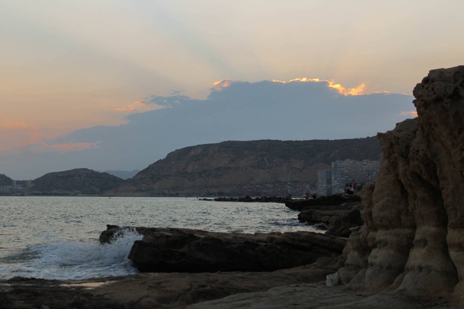 Crisalida | Enamorados de Alicante