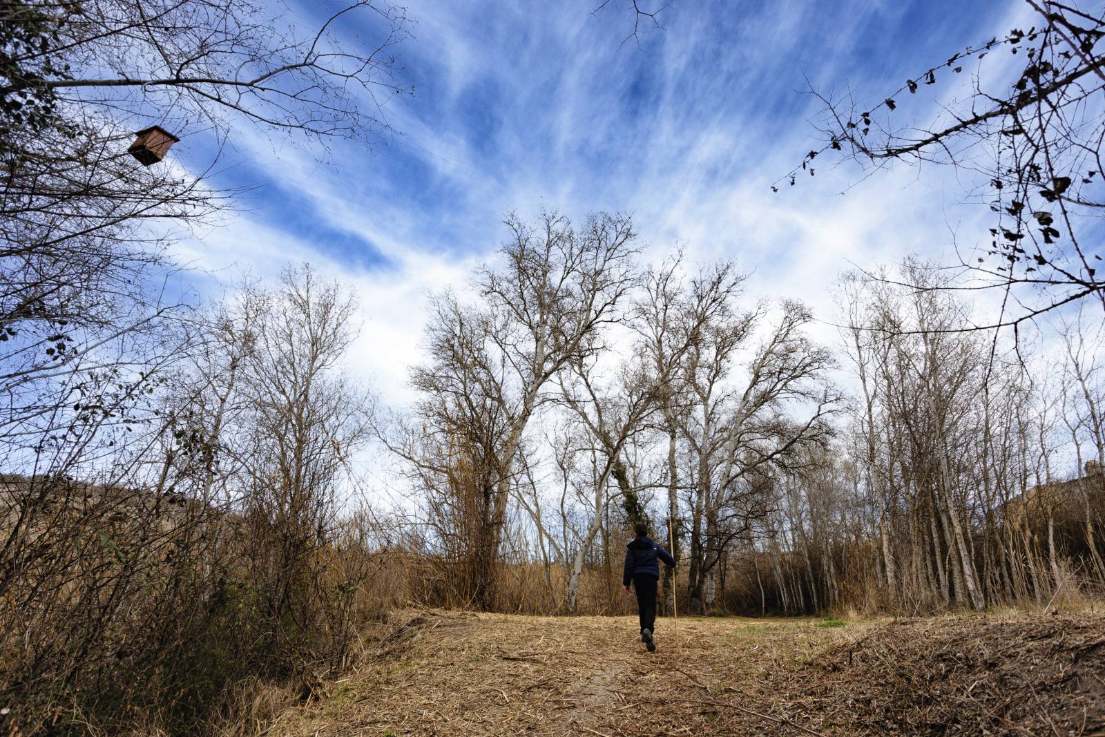 caminante - Enamorados de Alicante