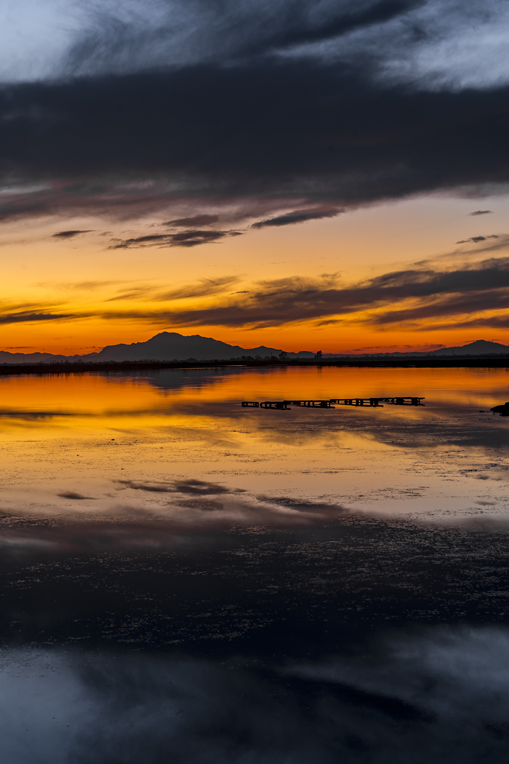 colorin colorado - Enamorados de Alicante