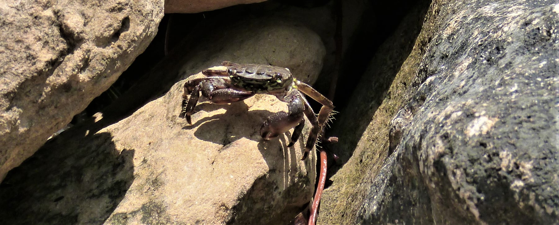 Comiendo en las rocas - Enamorados de Alicante